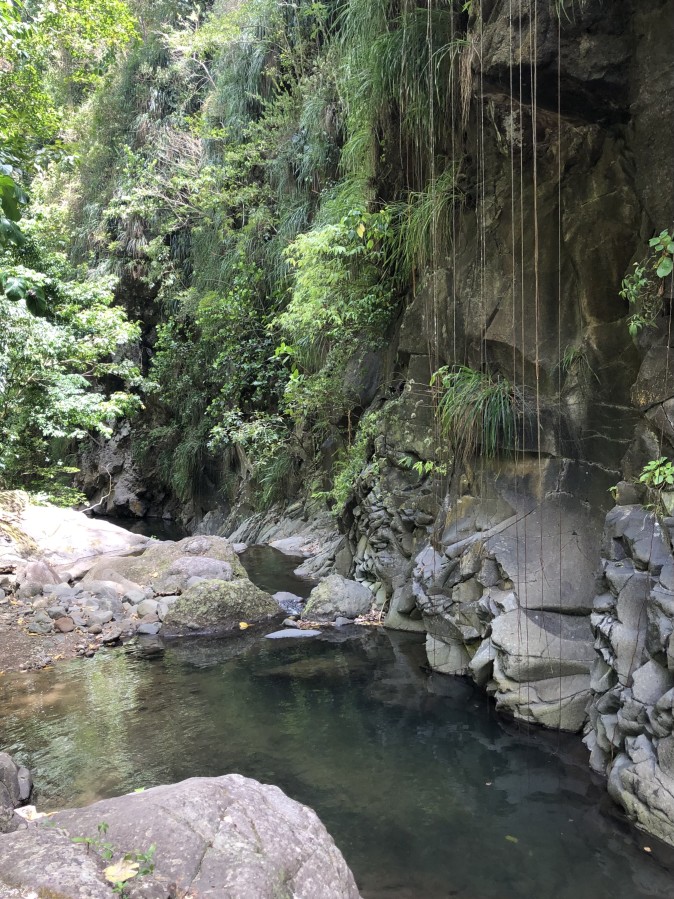 Comment se deplacer lors d'un sejour en Martinique?